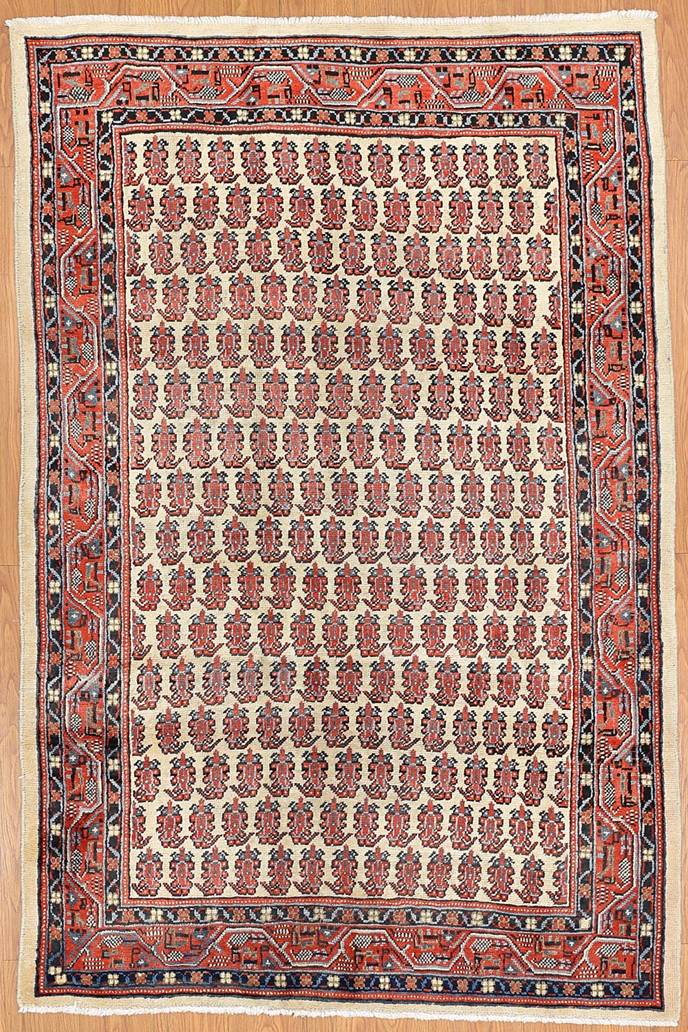 One of a Kind | Momeni Rugs